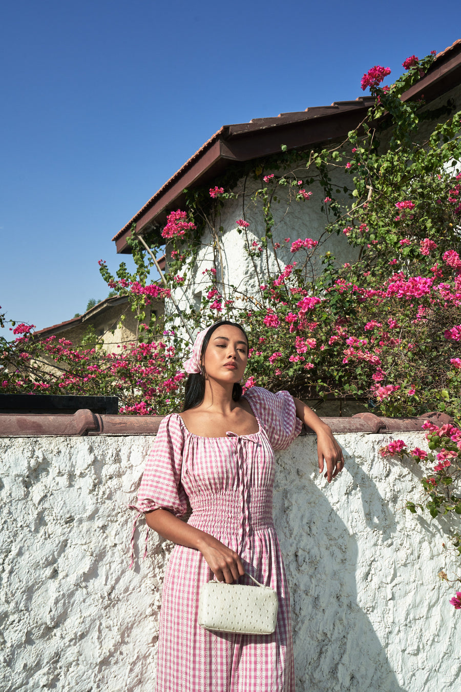 pansey – pansey collection